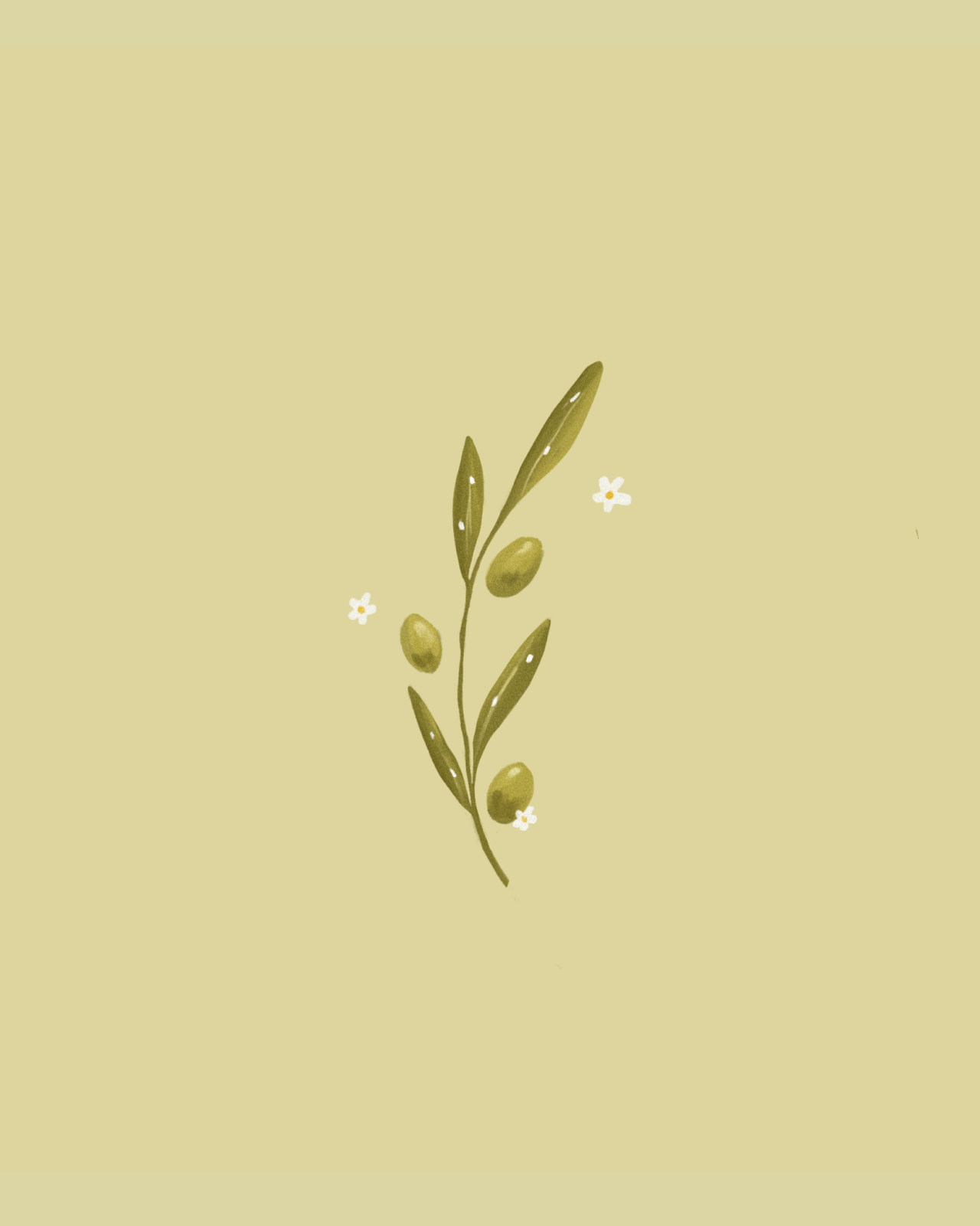 Graphiste et designer freelance à Bordeaux - Studio Anso